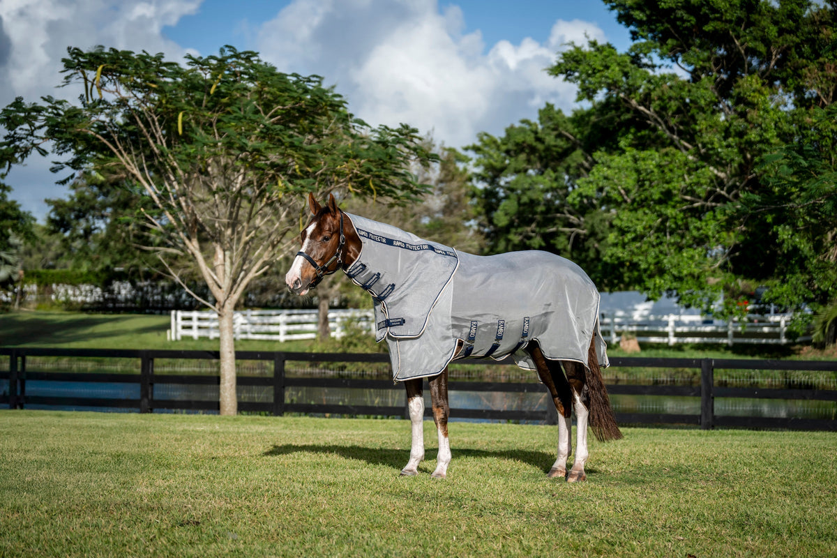 Best Selling Horseware Rambo Protector Fly Sheet - Now in 2 new Styles ...