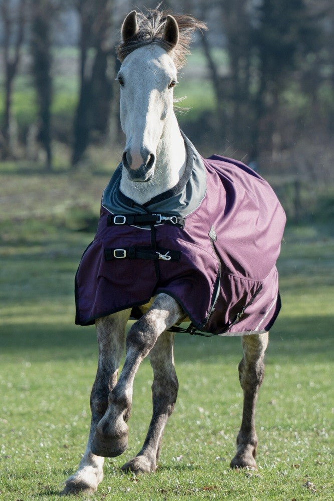 New HKM Fly Sheets and More! — Performance Horse Blankets