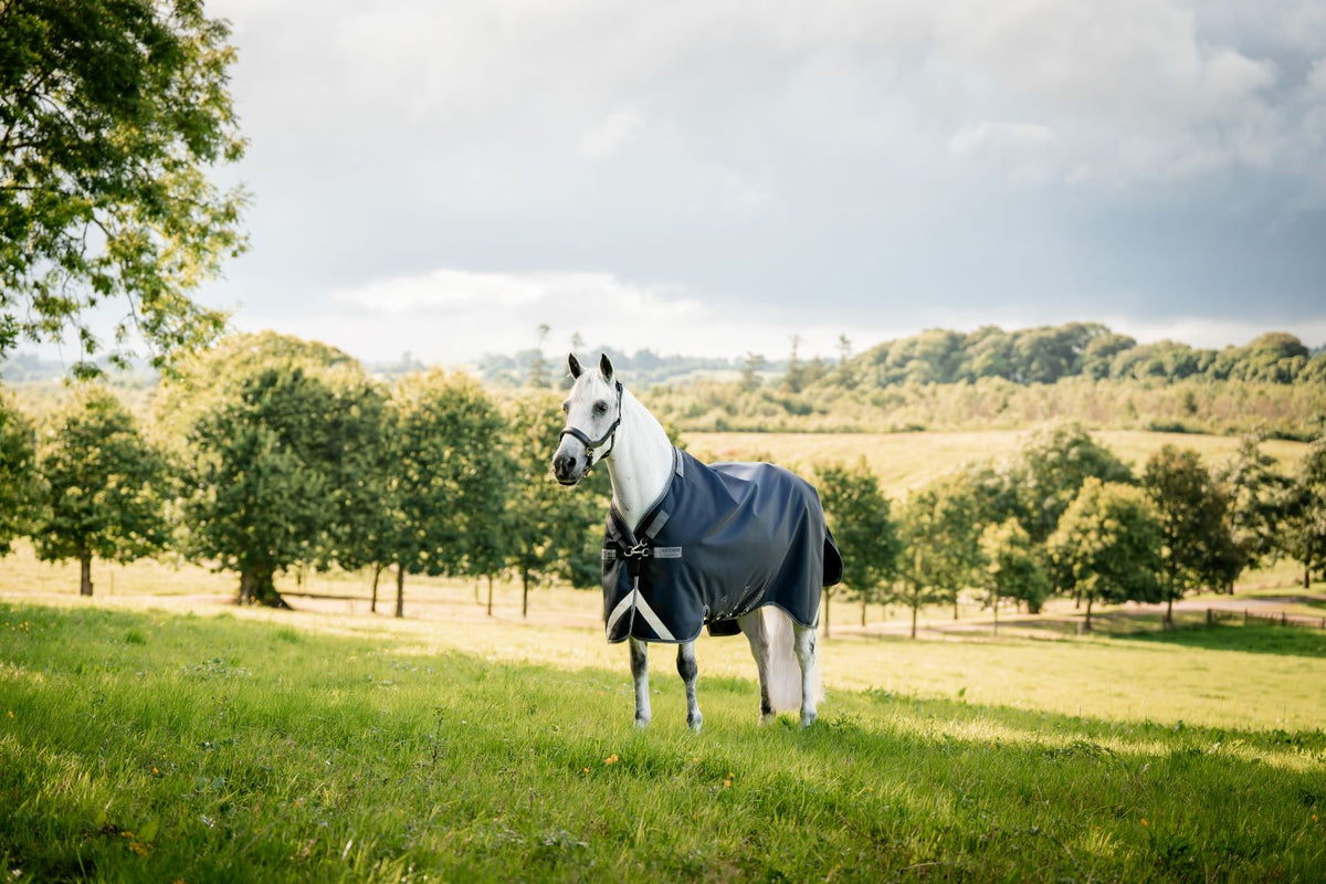 New Fall & Winter 2024 Collection — Performance Horse Blankets