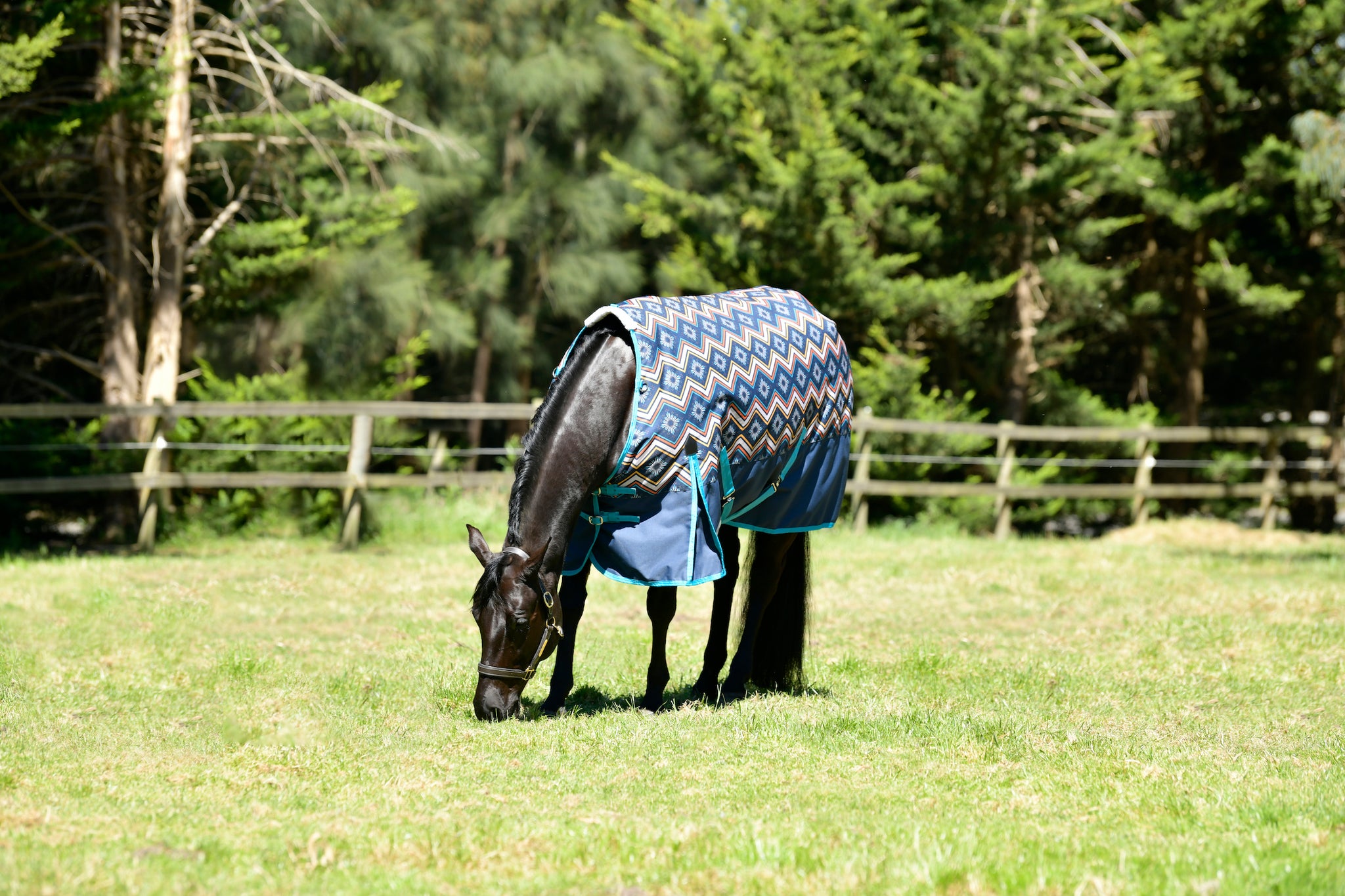 Turnout Sheets & Blankets — Performance Horse Blankets