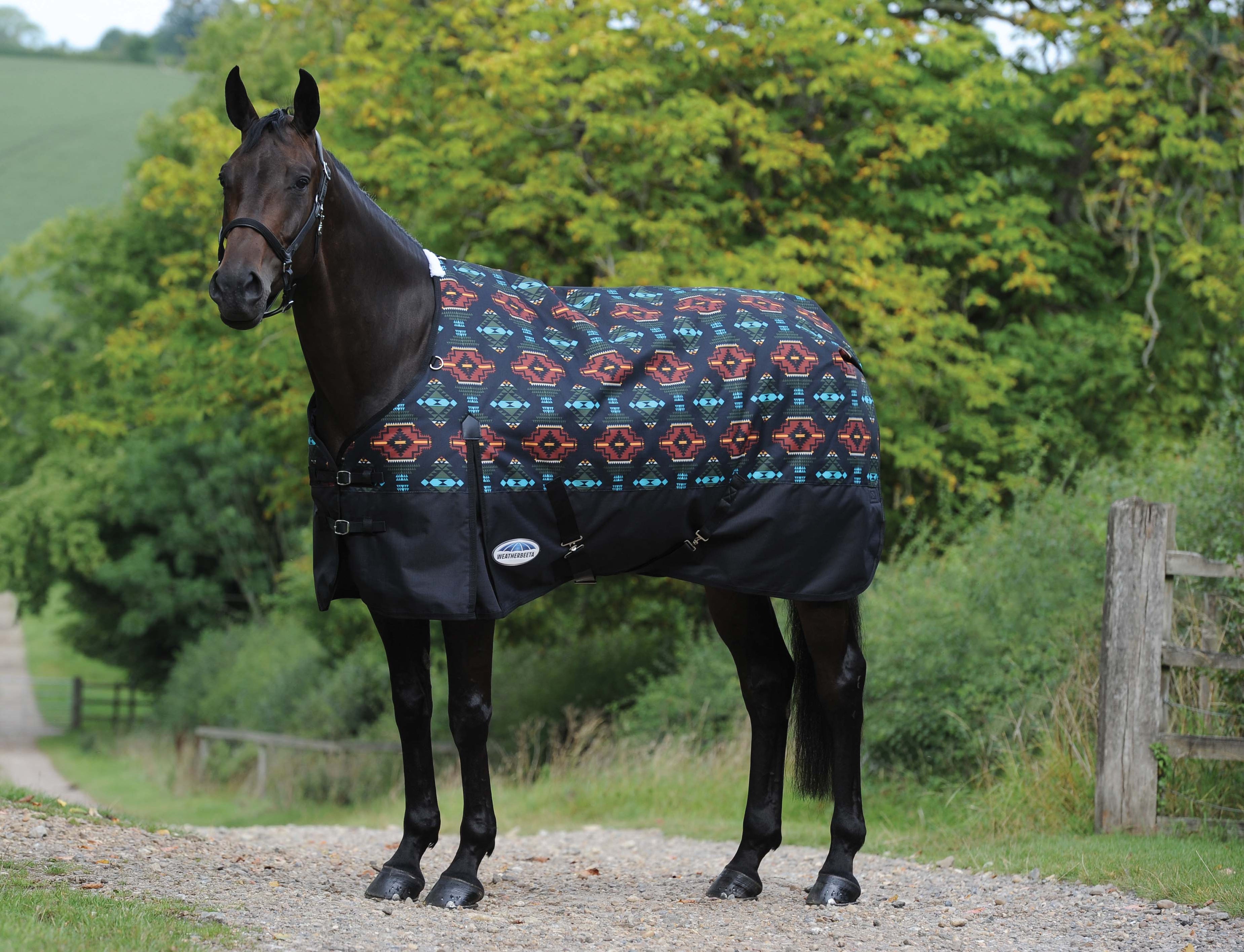 Contact Us | Performance Horse Blankets