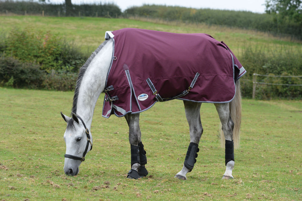 Turnout Sheets & Blankets — Performance Horse Blankets