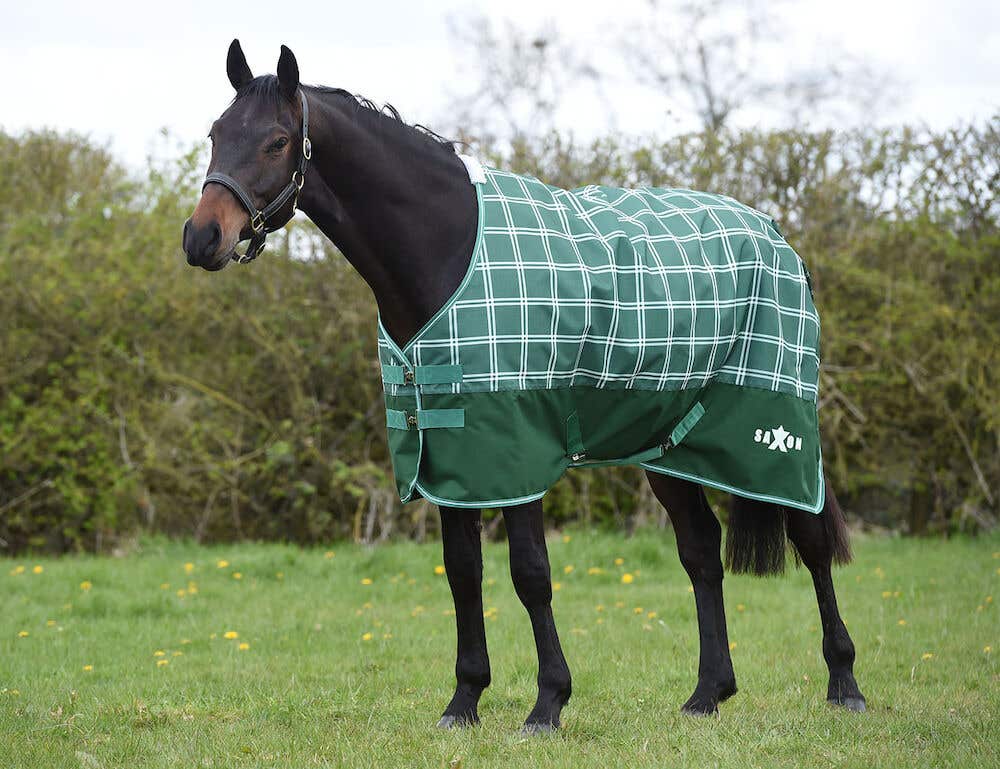 Saxon Defiant 1200D Standard Neck Turnout Blanket (220g Medium ...