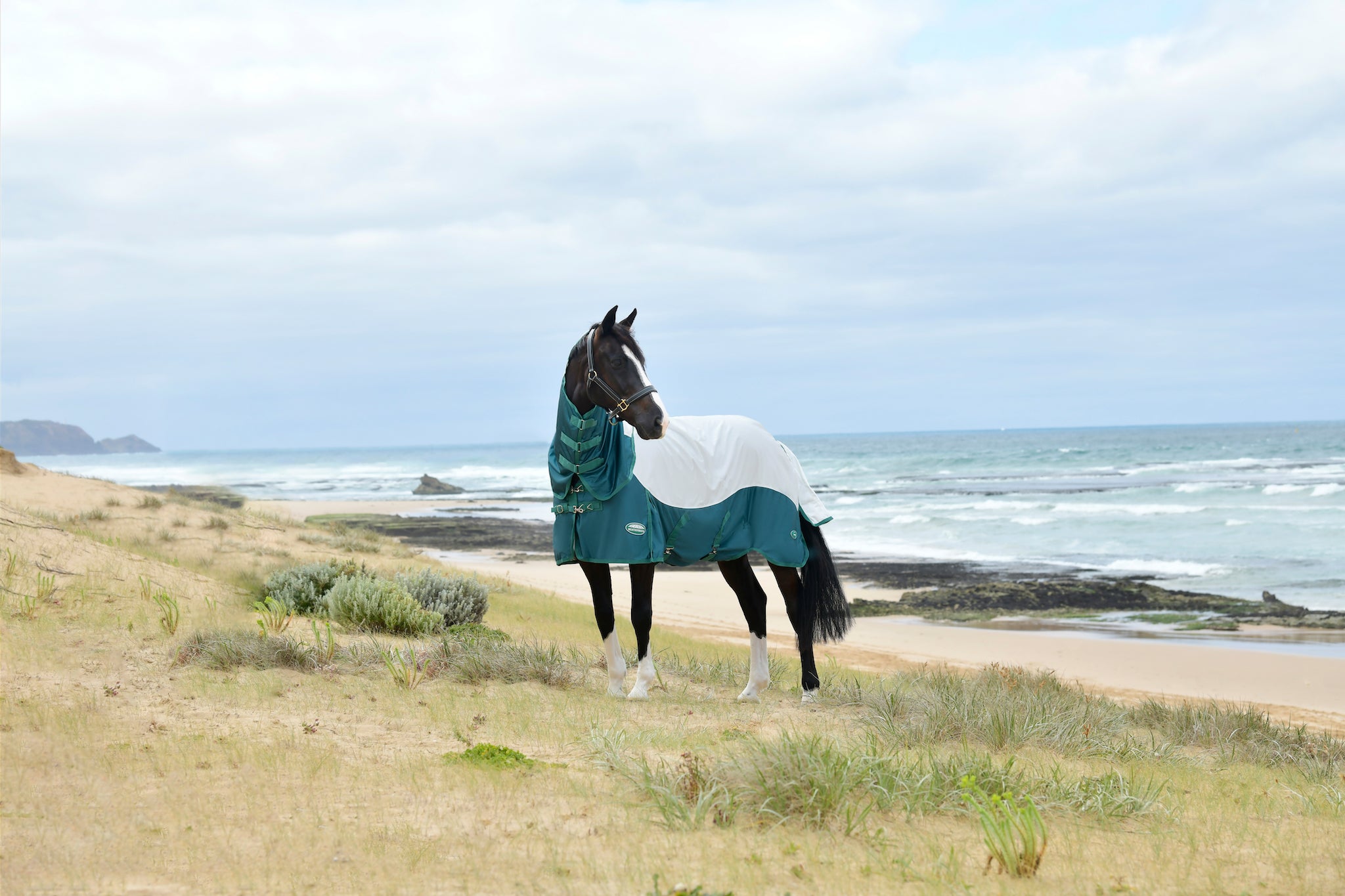 WeatherBeeta ComFiTec Green-Tec Airflow Mesh Detach-A-Neck Fly Sheet ...