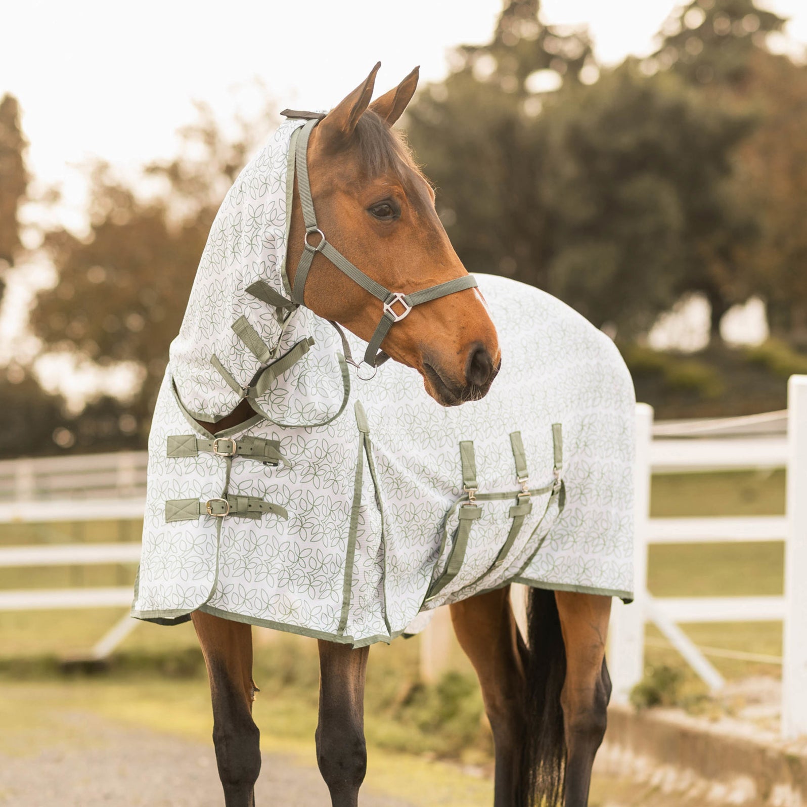 Horze Defender Combo Neck Fly Sheet (No Fill) — Performance Horse Blankets