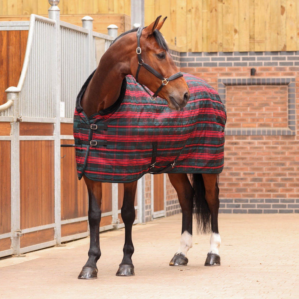 Shires Tempest Plus Stable Blanket (200g Medium) — Performance Horse ...