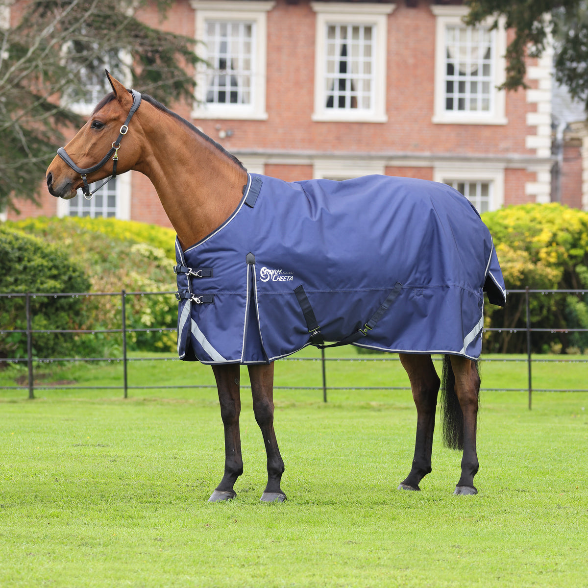 Shires StormCheeta Turnout Blanket (200g Medium + Neck Cover ...