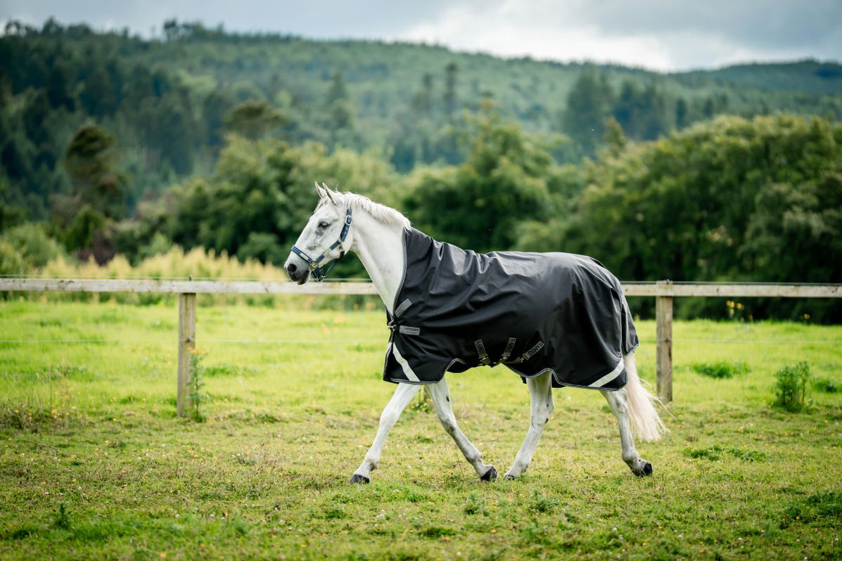 Rambo Wug Turnout Blanket (200g Medium) — Performance Horse Blankets