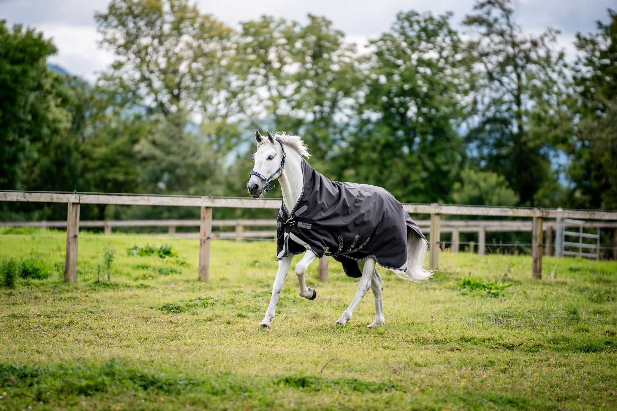 Rambo Wug Turnout Blanket (200g Medium) — Performance Horse Blankets