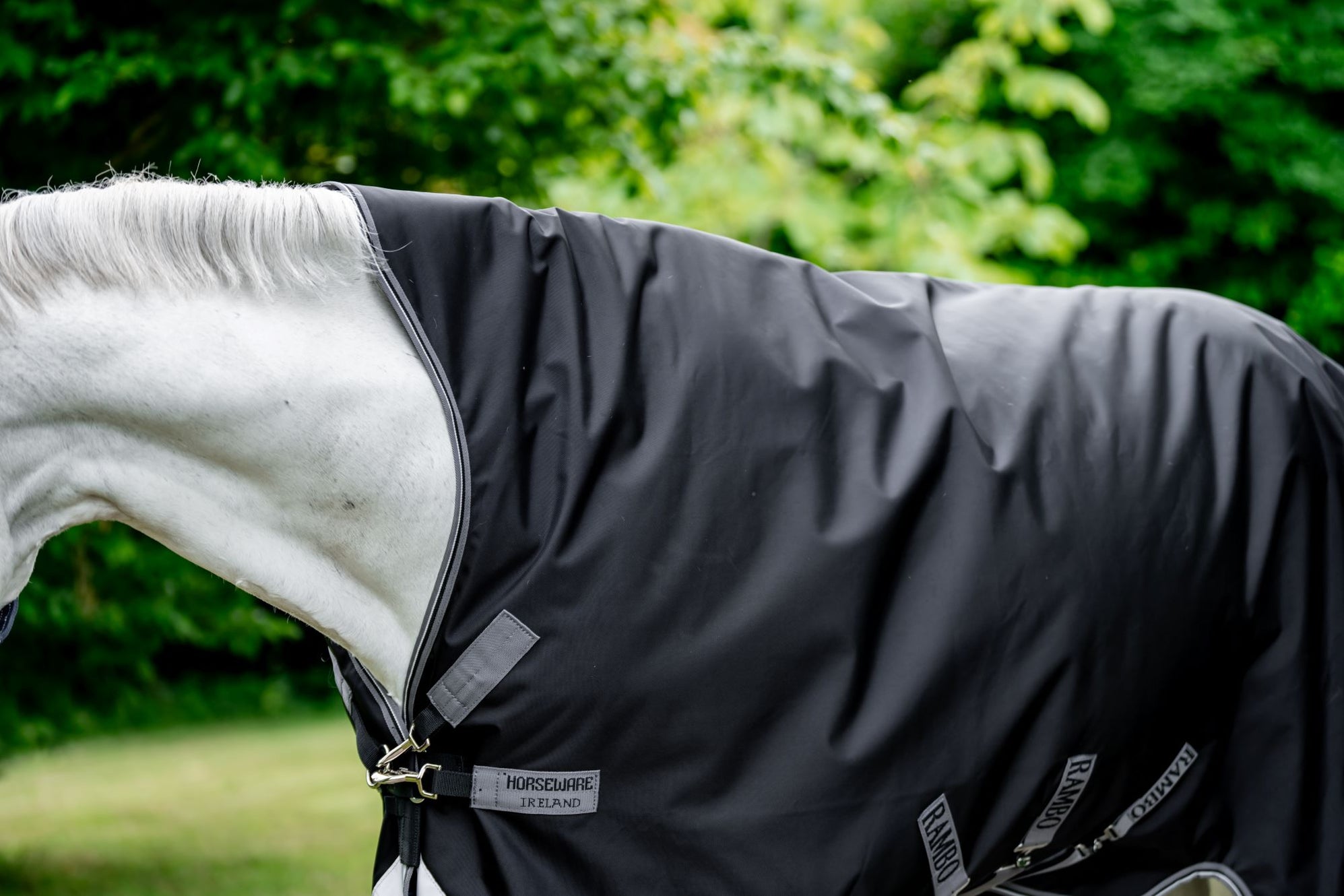 Rambo Wug Turnout Blanket (200g Medium) — Performance Horse Blankets