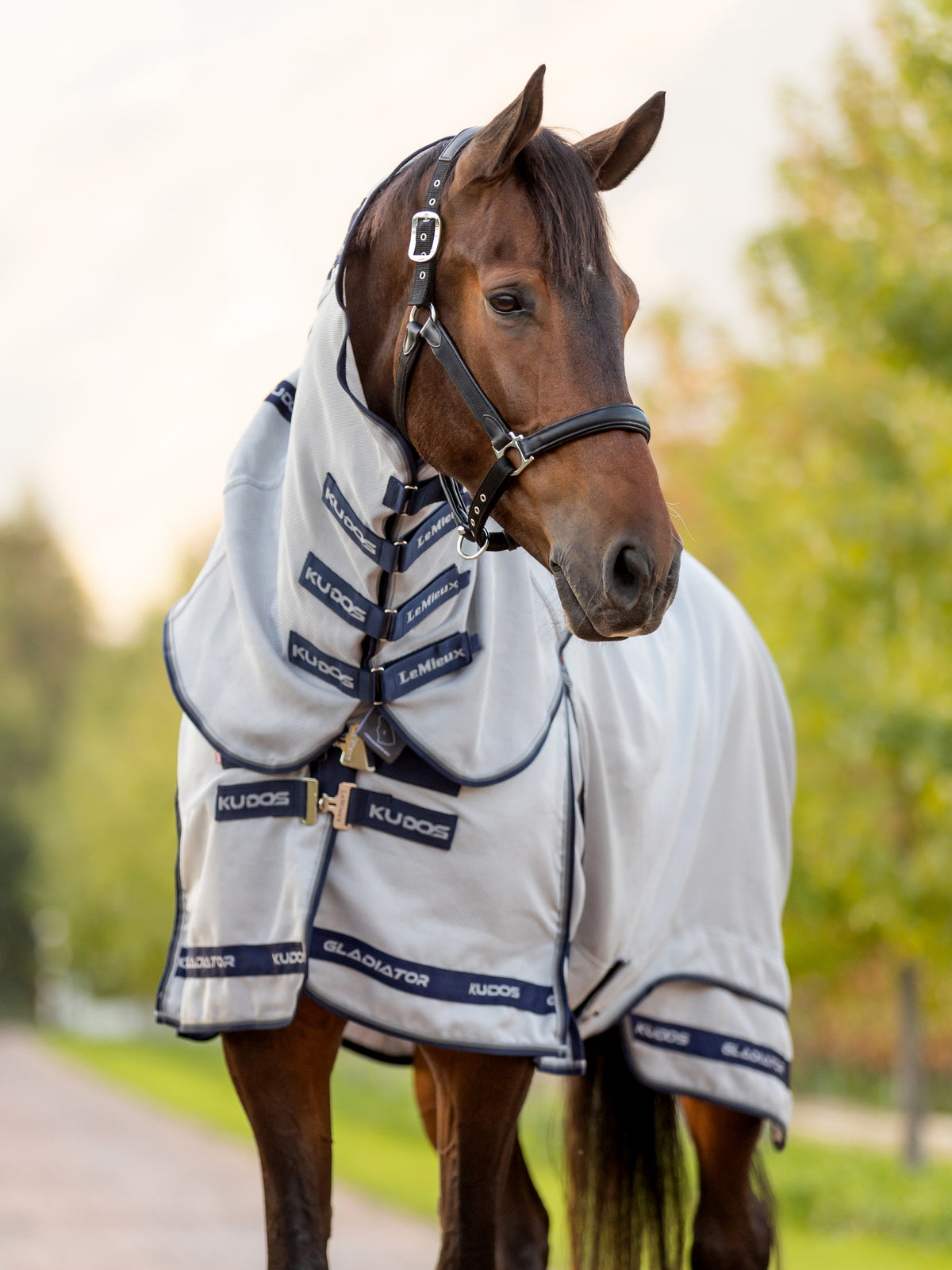 LeMieux Kudos Gladiator Fly Sheet (No Fill, Hood) — Performance Horse ...
