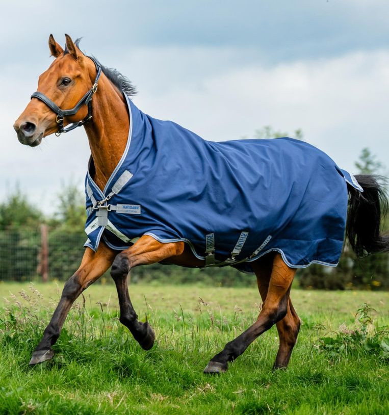 Horseware Ireland — Performance Horse Blankets
