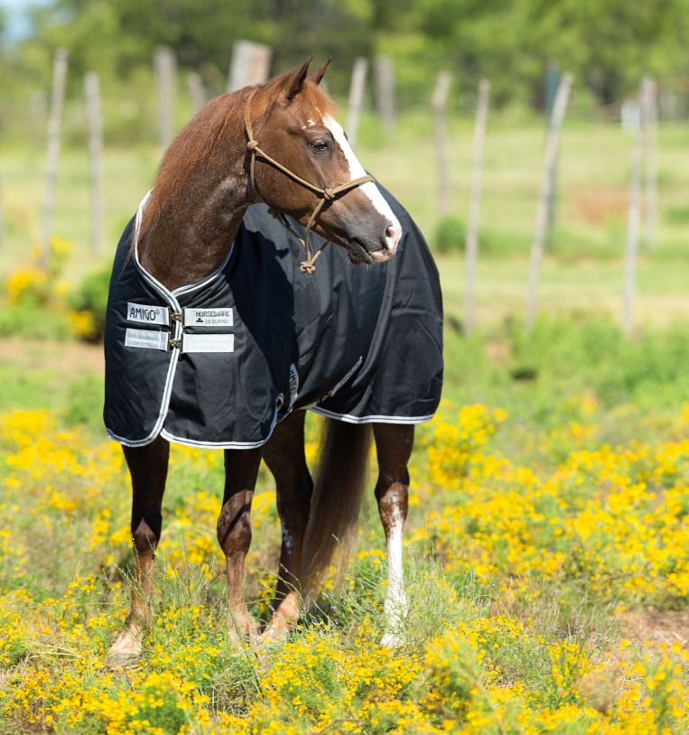 Turnouts - Lite (0g) — Performance Horse Blankets