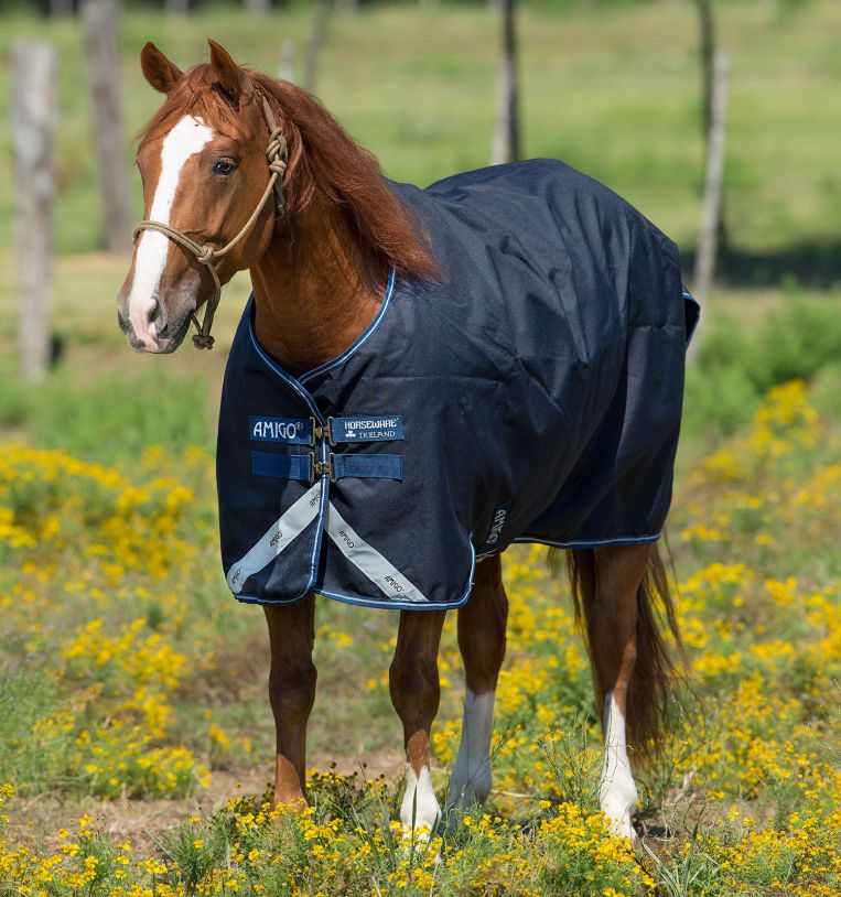 Turnouts - Heavy (300+g) — Performance Horse Blankets
