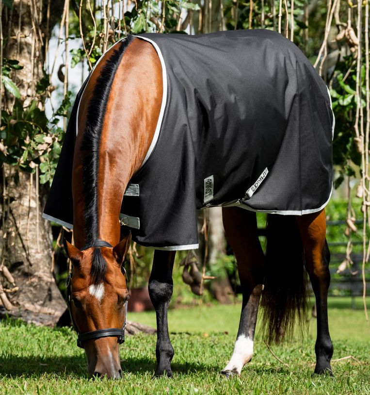 Horseware Ireland — Performance Horse Blankets