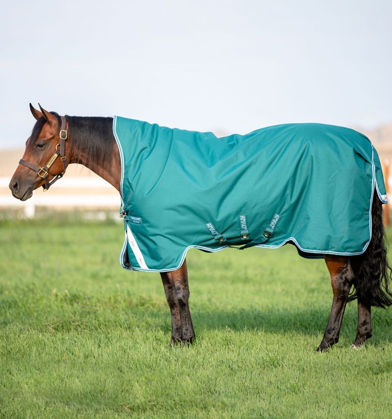 Amigo Turnouts — Performance Horse Blankets
