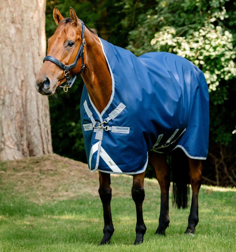 Amigo Turnouts — Performance Horse Blankets