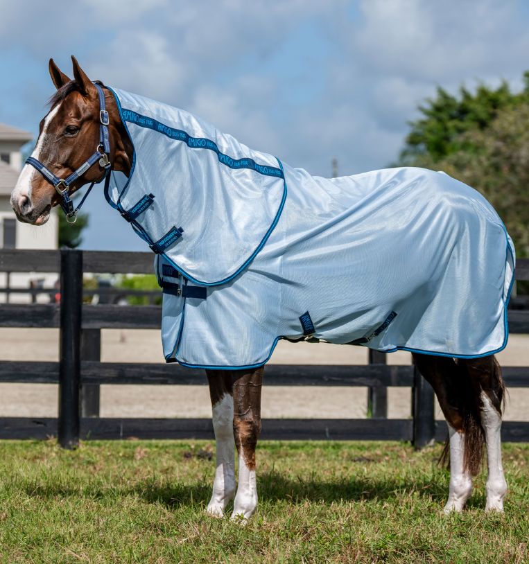 Amigo Bug Rug Plus Fly Sheet (No Fill + Hood) — Performance Horse Blankets