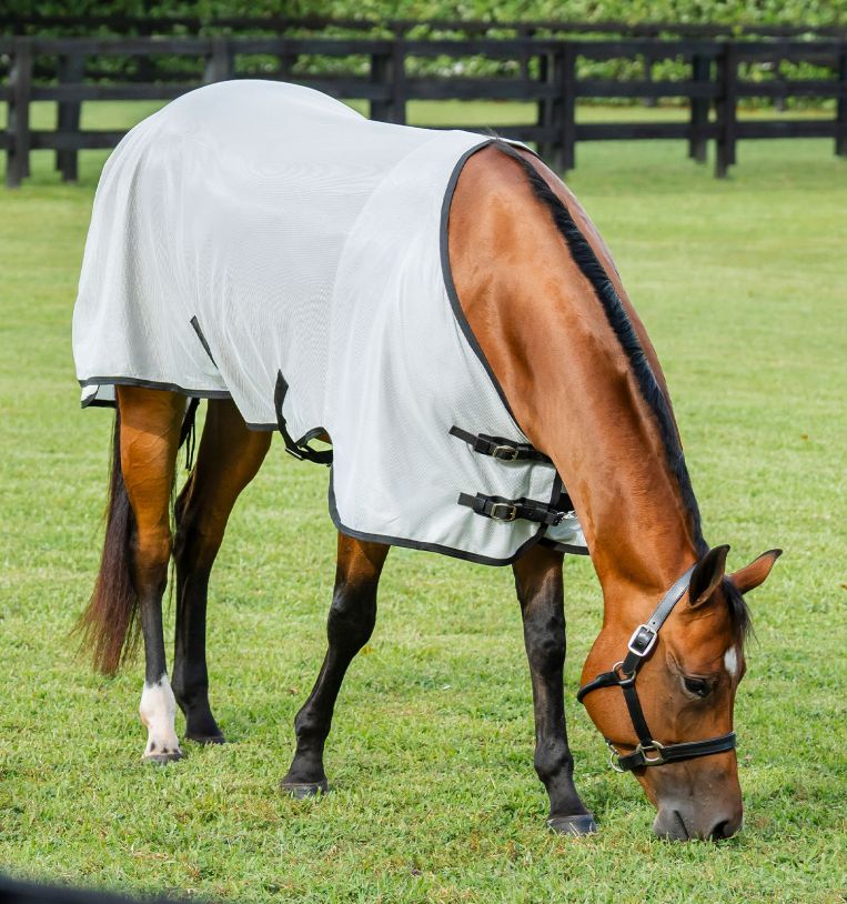 Amigo Bug Rug Quarter Horse Fly Sheet (No Fill) — Performance Horse ...