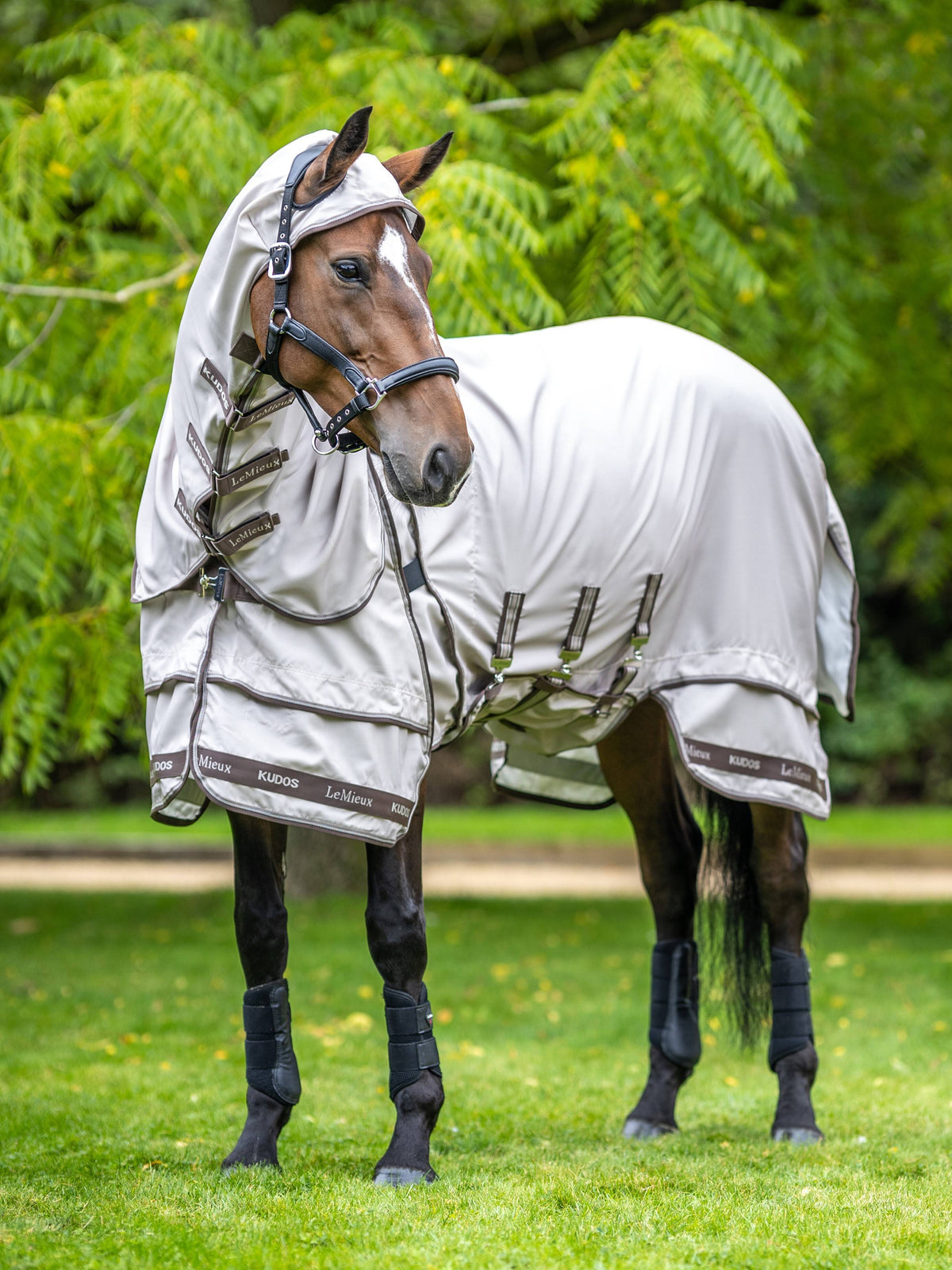 LeMieux Kudos Sweet Itch Summer Sheet — Performance Horse Blankets