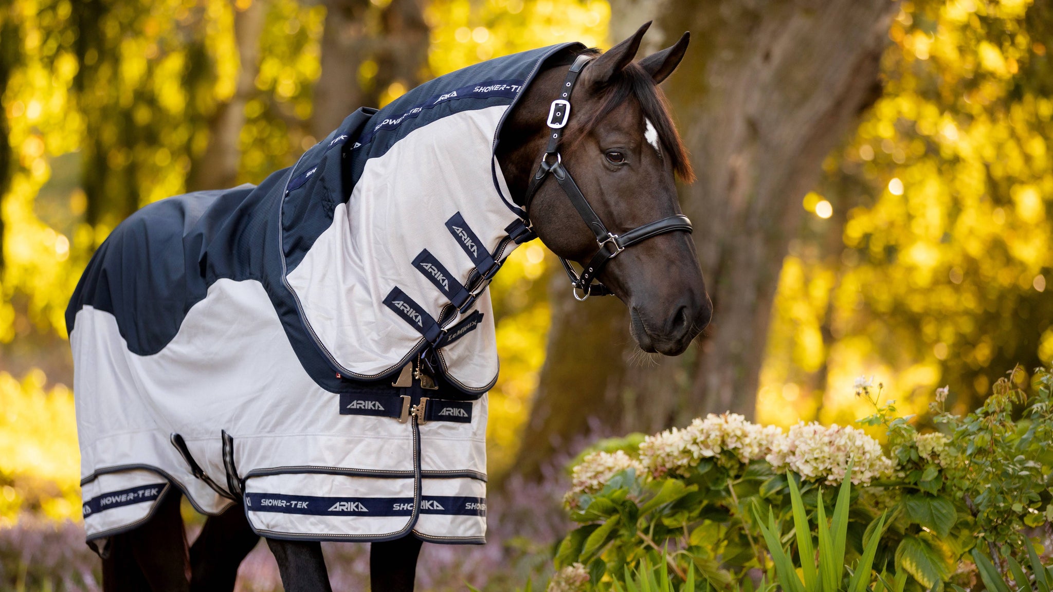 Performance Horse Blankets | Shop Horse Blanket, Turnout, Fly Sheet