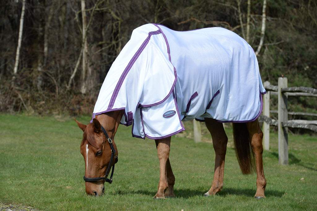 Fly & Summer Sheets — Performance Horse Blankets