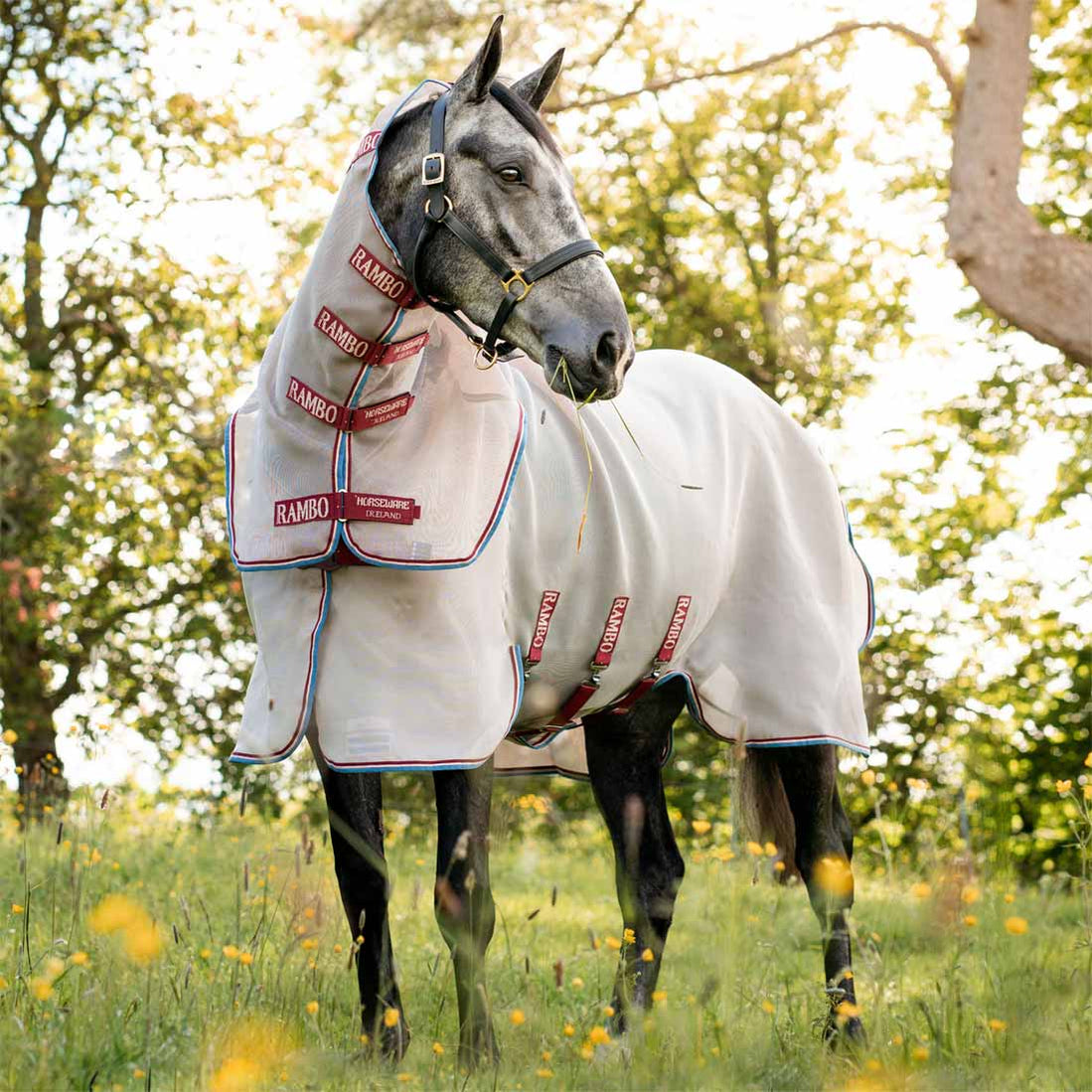 Rambo Protector Fly Sheet (No Fill, Hood, Disc Front) — Performance ...