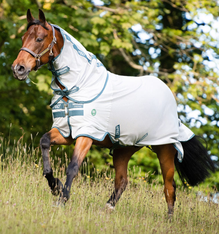 Performance Horse Blankets | Shop Horse Blanket, Turnout, Fly Sheet