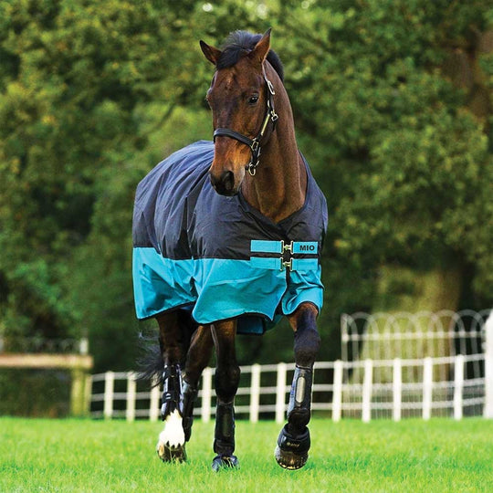The Top Horse Fly Sheets — Performance Horse Blankets