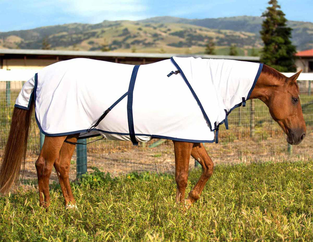 Summer Sheets — Performance Horse Blankets