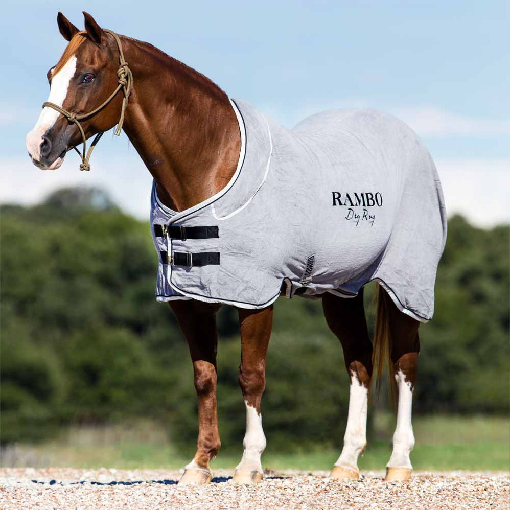 Rambo — Performance Horse Blankets