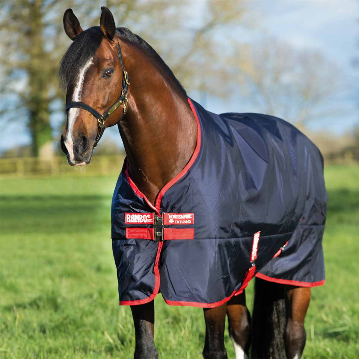 Horseware Ireland — Performance Horse Blankets