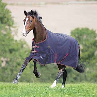 Shires Highlander Plus Standard Neck Turnout Blanket (300g Heavy ...